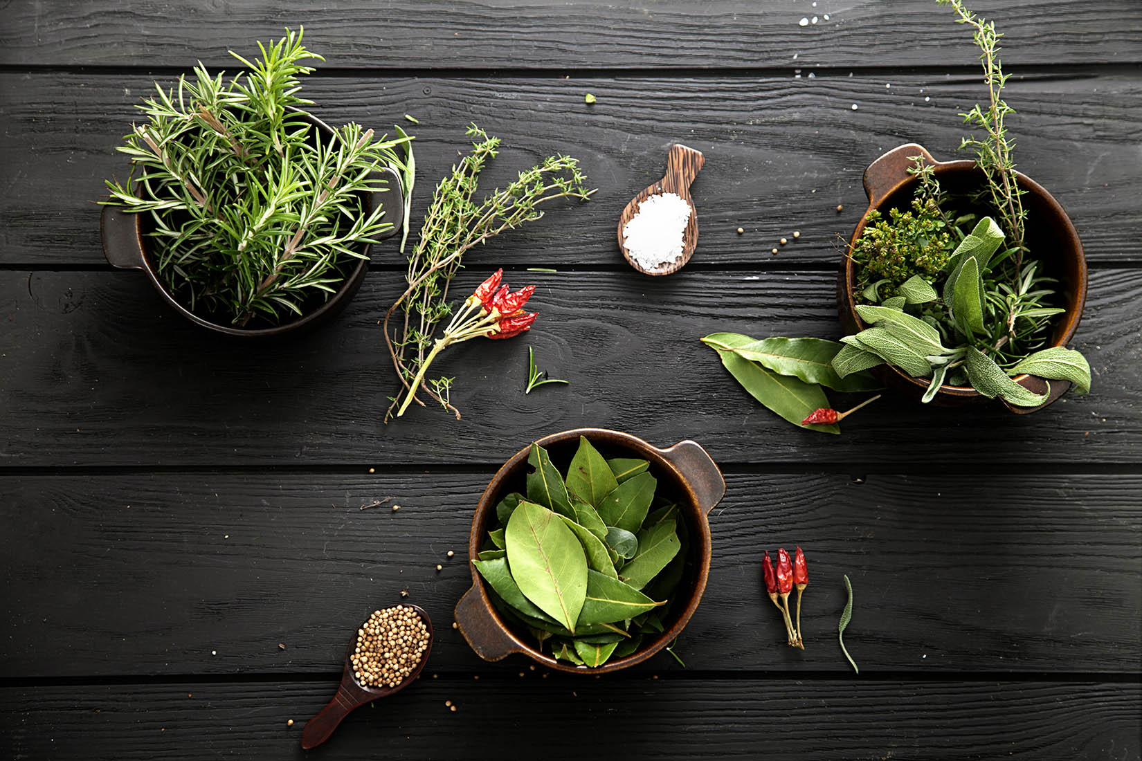 Les meilleures herbes aromatiques à avoir dans sa cuisine